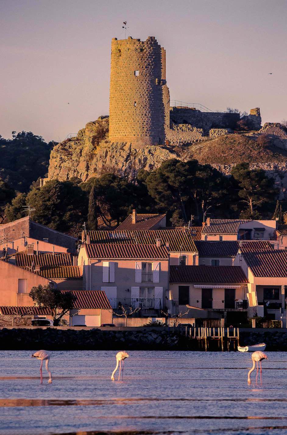 Les 5 incontournables de Gruissan